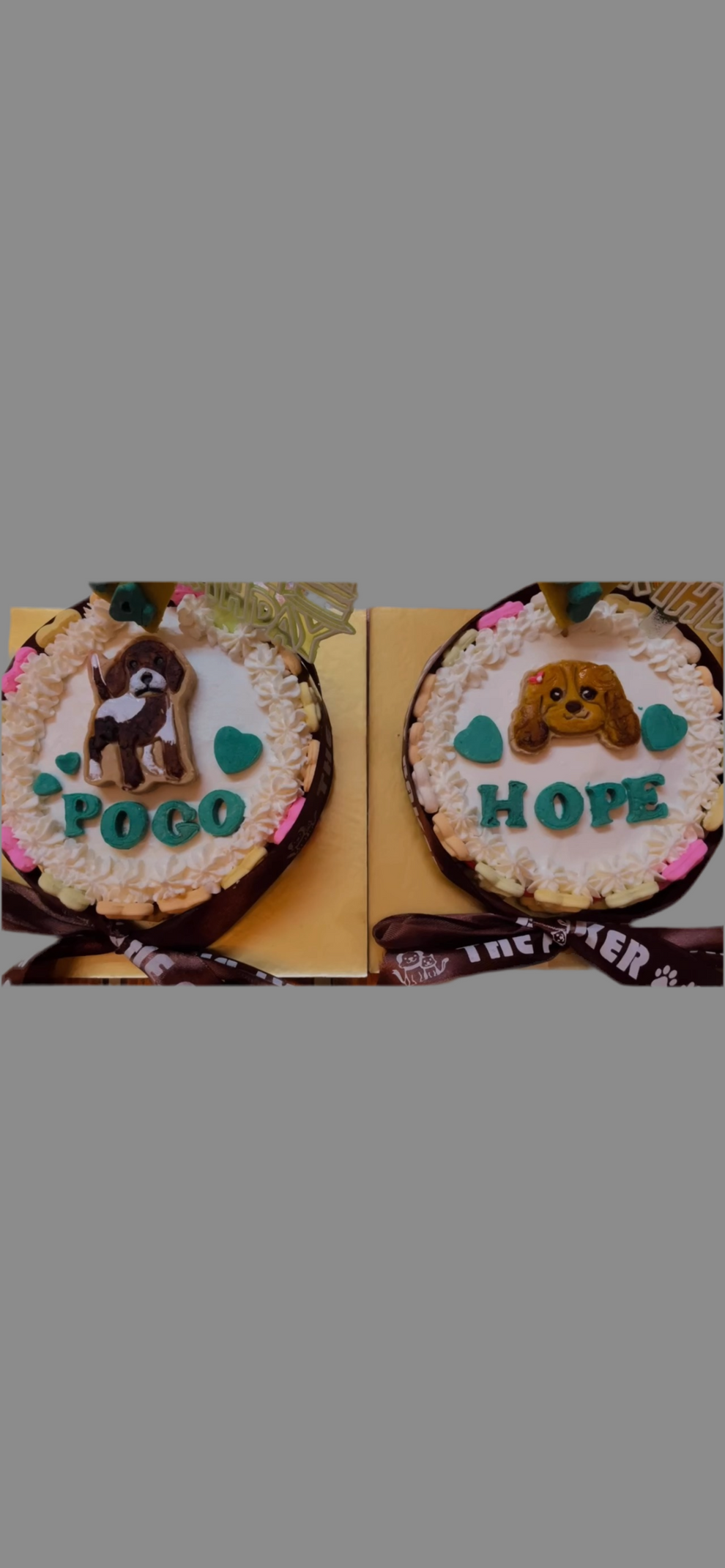 Customised Breed Face Cake – Furry Baker