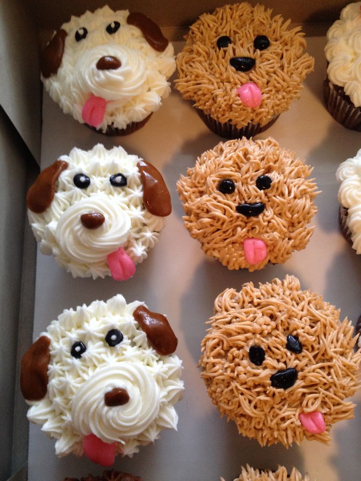 Dog Face Cupcakes – The Furry Baker